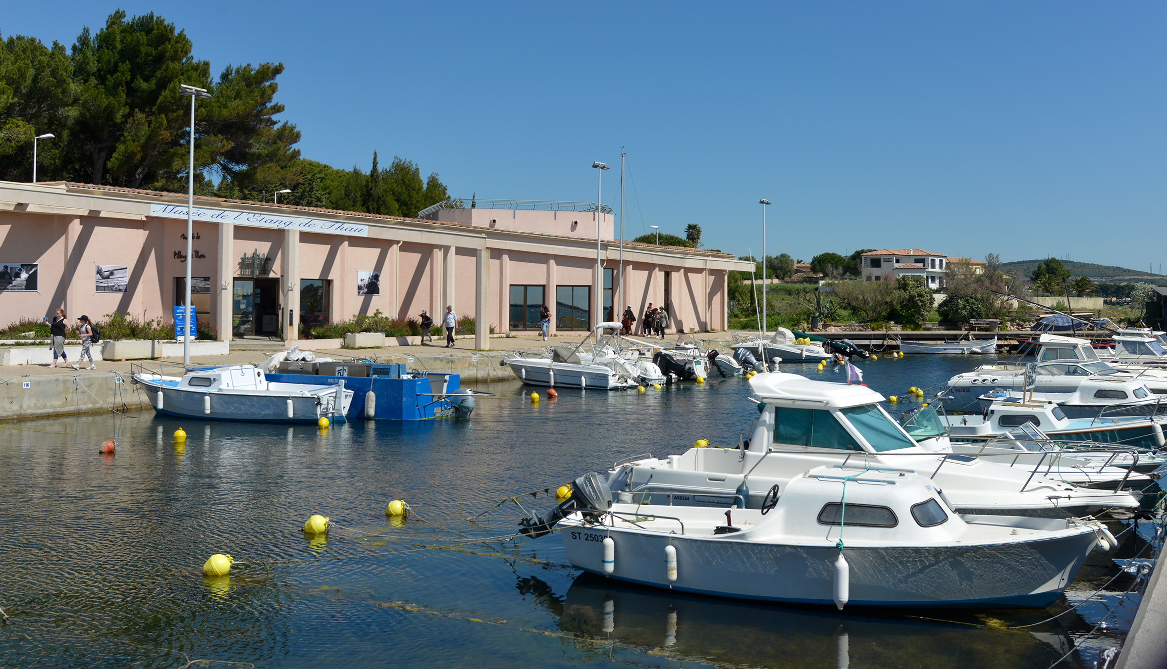 Sète agglopôle méditerranée » Port de Bouzigues